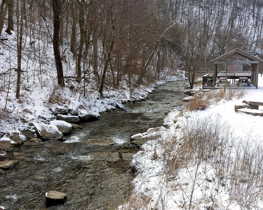 Escape into nature at Cove Spring Park - FRANK. Magazine