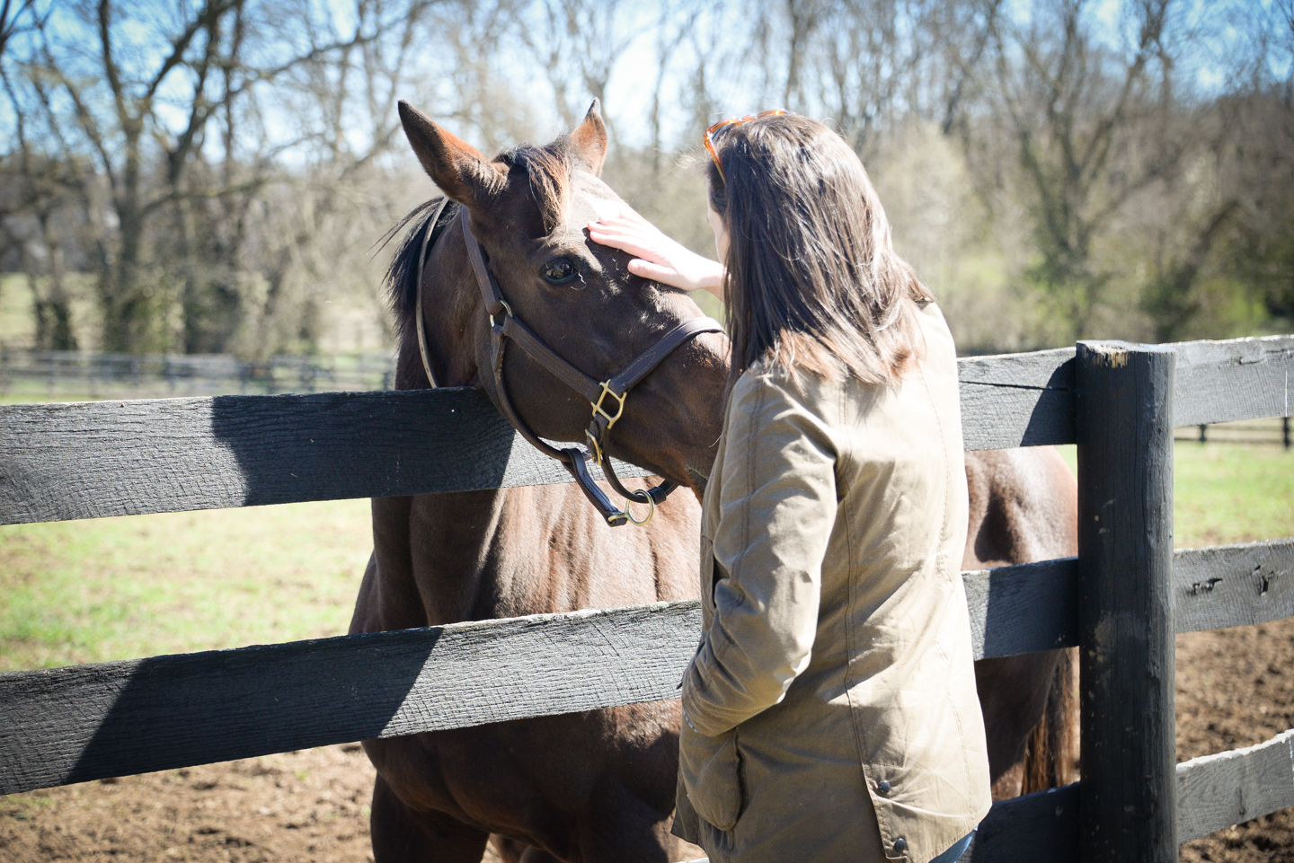 Hallie Hardy — Inspiring the love of the horse in Kentucky - FRANK ...